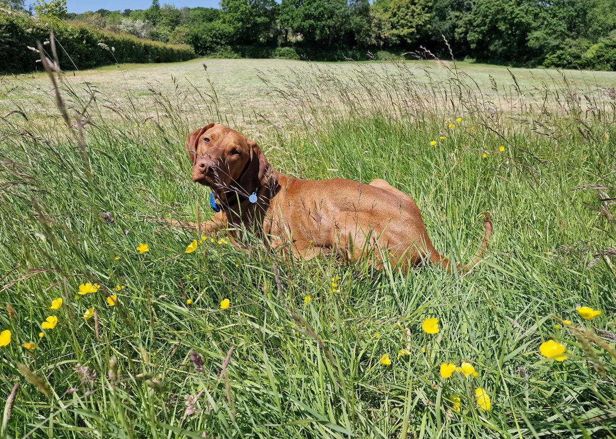 Get to know Beaulieu Farm Campsite – Beaulieu Farm Campsite